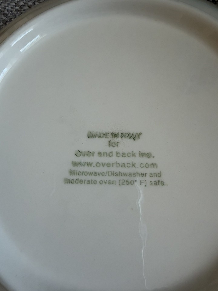 Over and Back BASIL Pasta bowl | Made in Italy (9 1/2" Diameter) | eBay