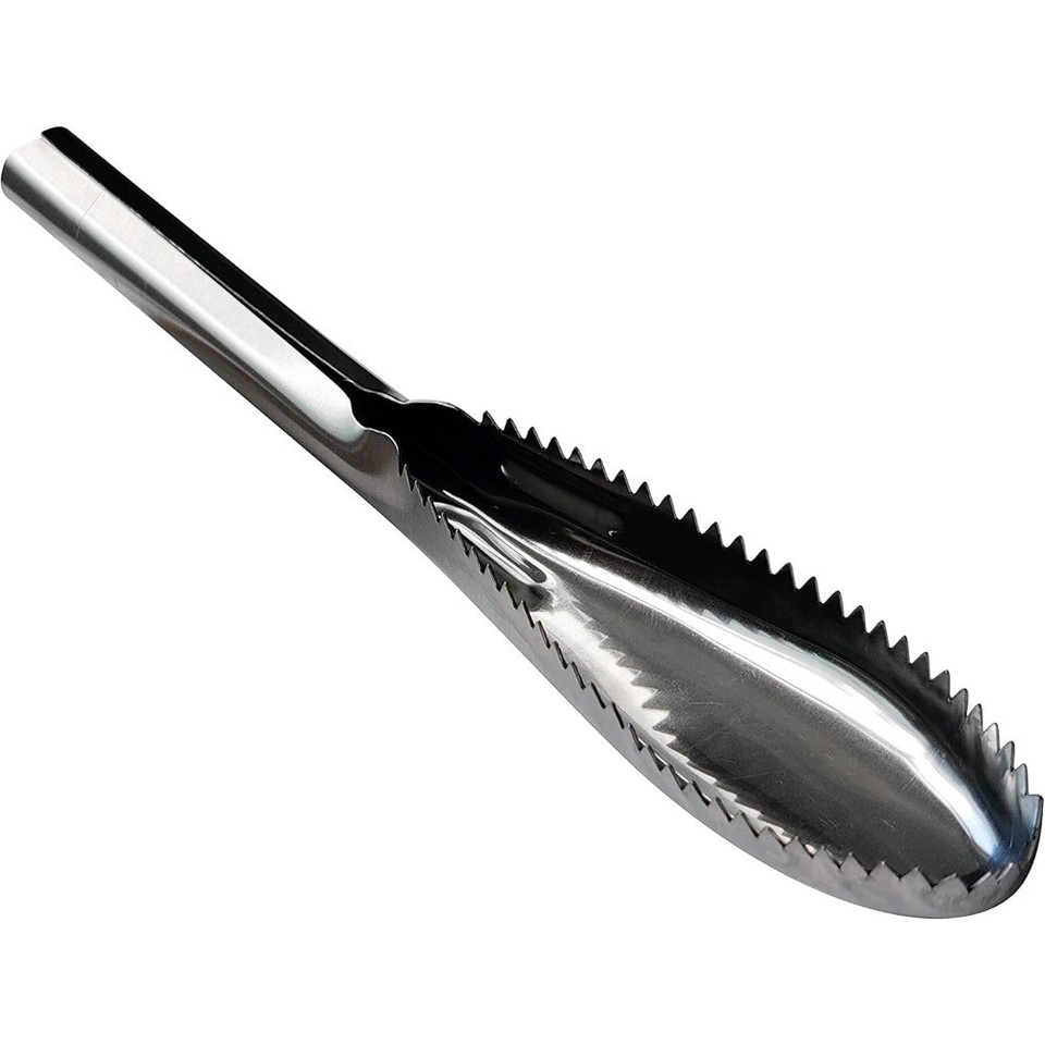 Fish Scaler Tool Stainless Steel Descaler Sawtooth Design for Kitchen ...