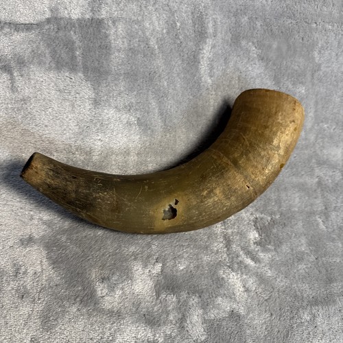 Vintage Hunting Cow Horn Blow Call With Carved Mouthpiece | eBay