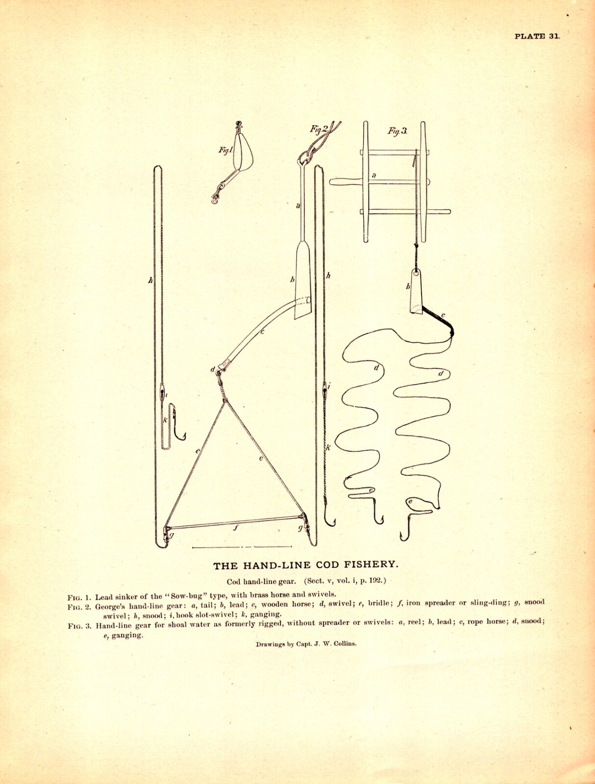 HAND-LINE COD FISHERY, FISHING GEAR Antique original engraving 1887 | eBay