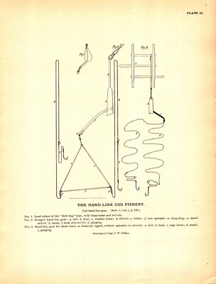 HAND-LINE COD FISHERY, FISHING GEAR Antique original engraving 1887 | eBay