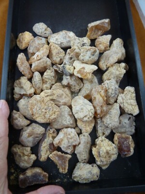 (k-4002) 500 g Rare Kauri tree Gum chips copal Amber New Zealand Tane ...