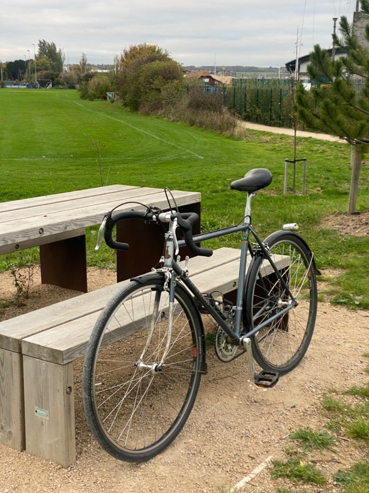 Raleigh Royal Touring Bike Randonneur 53 54cm Reynolds 531 frame Gravel ...