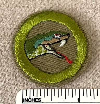 Vintage 1930s REPTILE STUDY Boy Scouts of America Merit Badge PATCH BSA ...