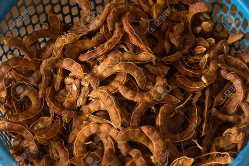 Fresh Tamarind With Seeds Naturally processed | Freshly packed | Rich ...