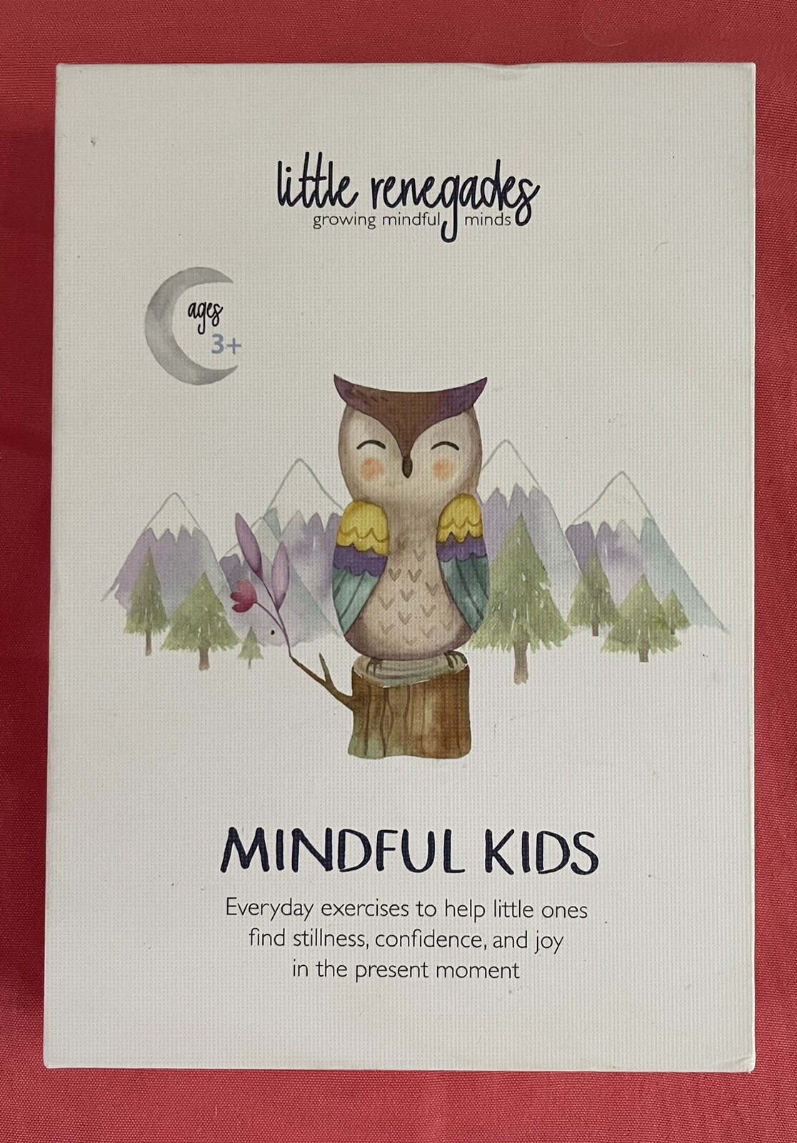 Little Renegades Mindful Kids Cards Ages 3+ Everyday Exercises of ...