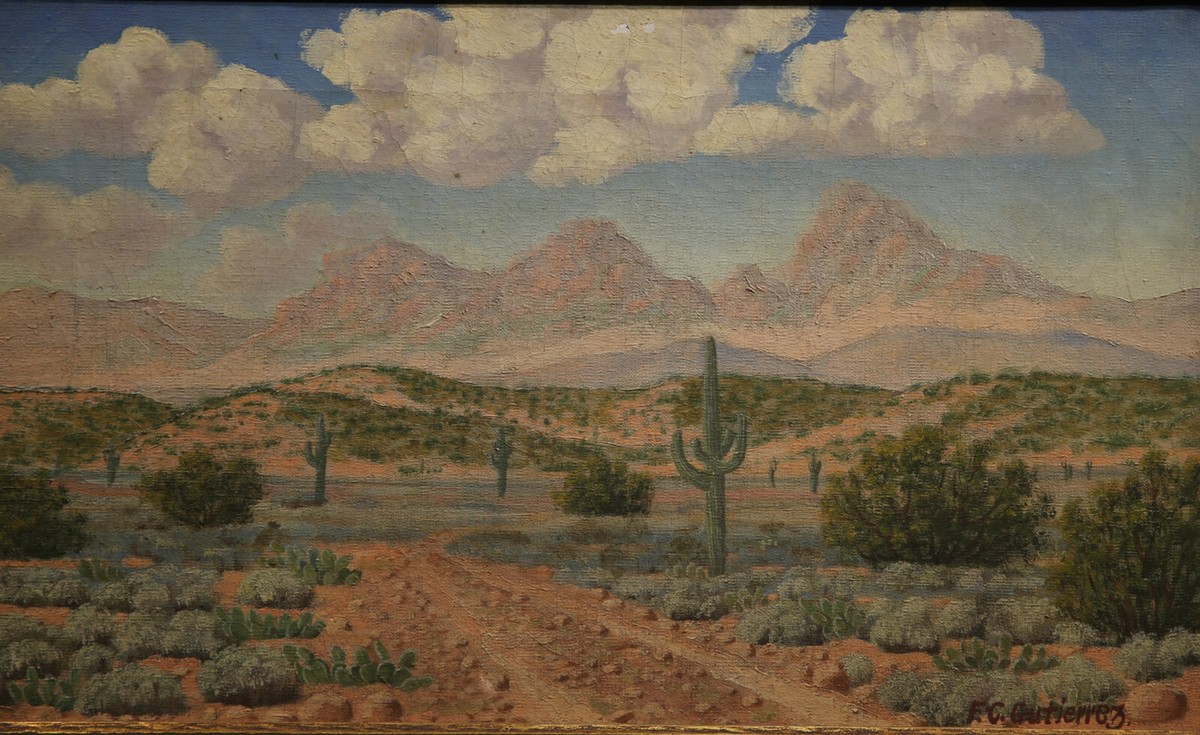 Spanish Desert Landscaping Ideas Spanish Dagger – Arizona Desert