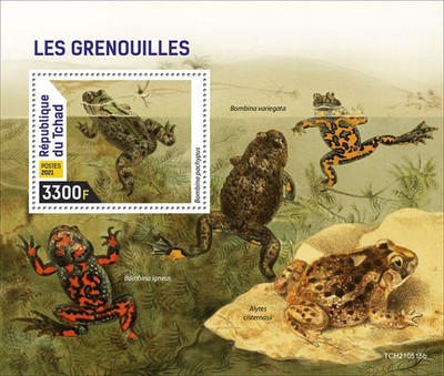 Chad - 2021 Frogs, Yellow-bellied Toad - Stamp Souvenir Sheet ...