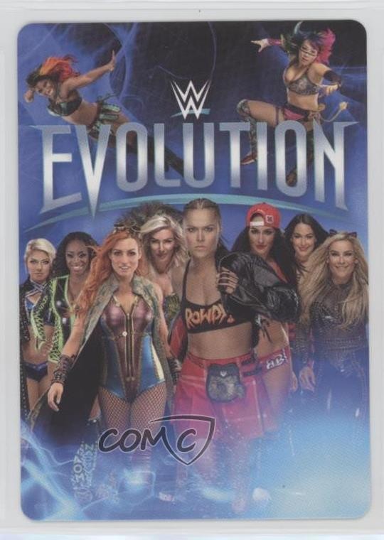 2019 Aquarius WWE Divas Evolution Playing Cards Sasha Banks #AC e6j ...