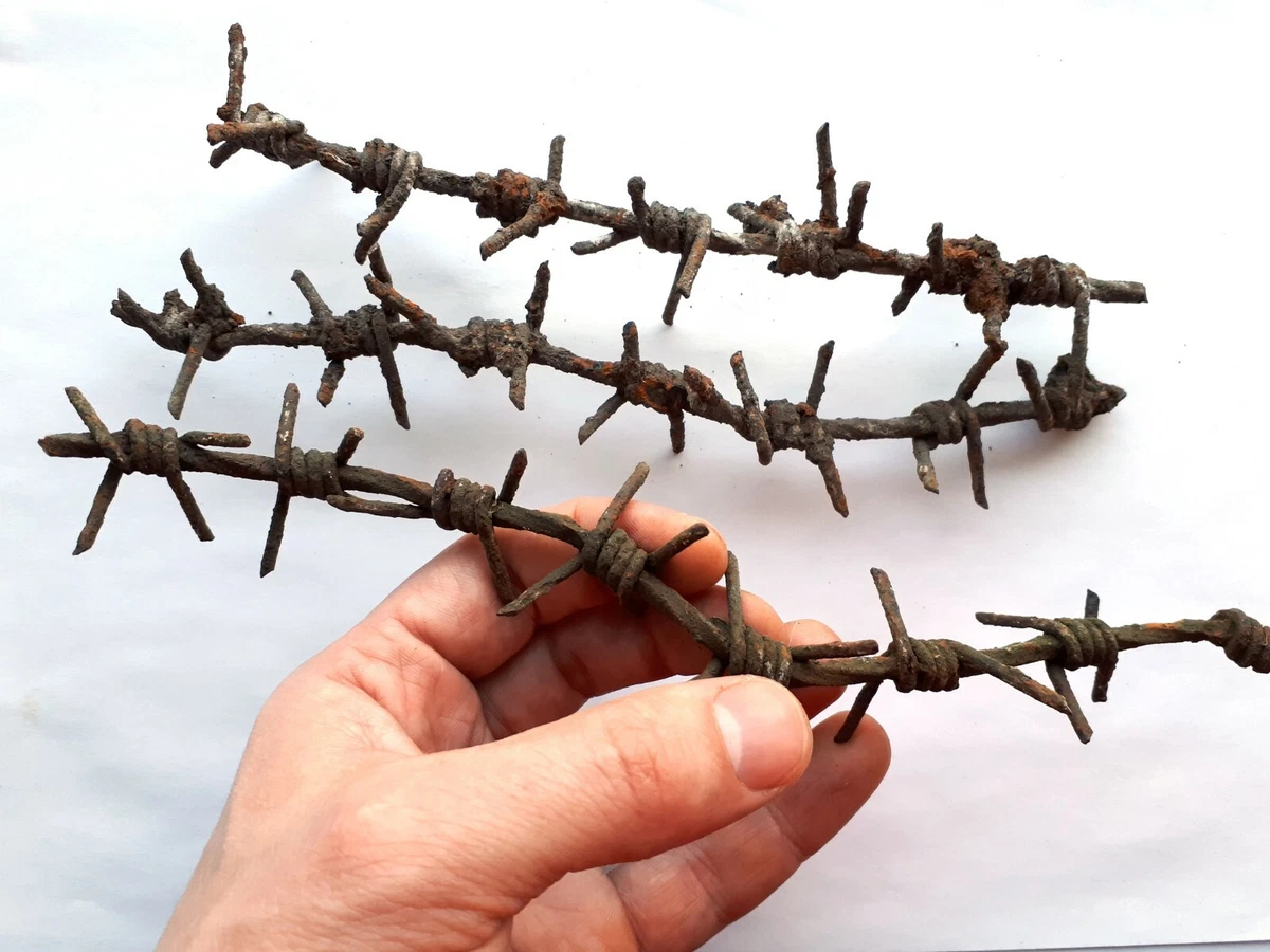 Barbed Wire Ww1 Trench Warfare