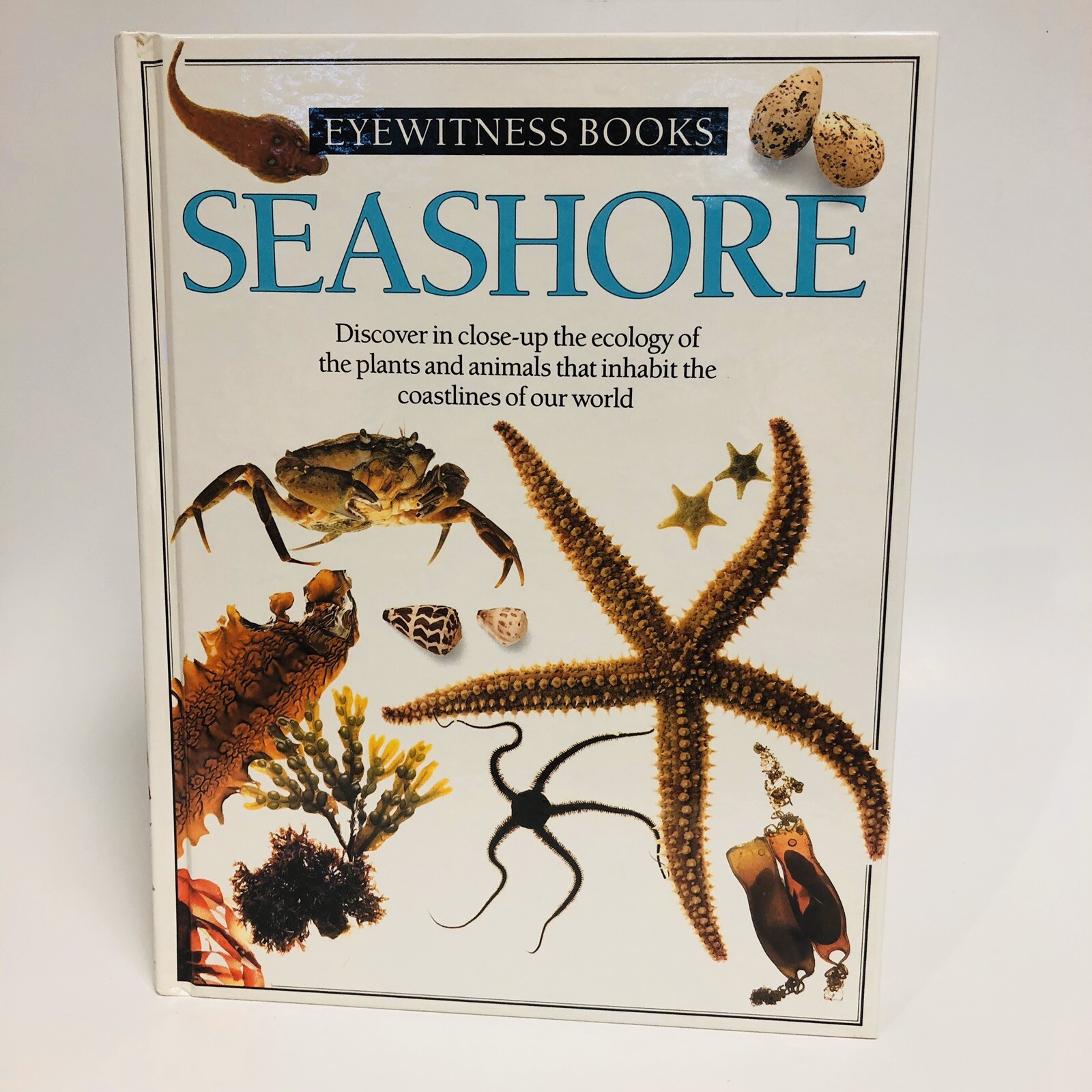Eyewitness Books Seashore Nature Beach Hardcover Educational Homeschool ...
