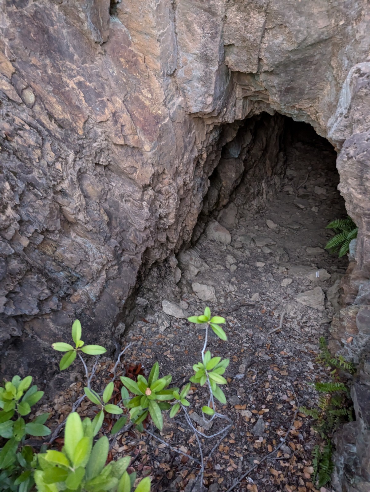 1981 Vintage Bag Of Gold Ore Assay Sample Mining-Concentrates-Cali Mine ...