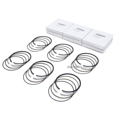 6x Piston Rings STD OEM For Cayenne Audi Q7 VW Passat CC R36 3.6 VR6 ...