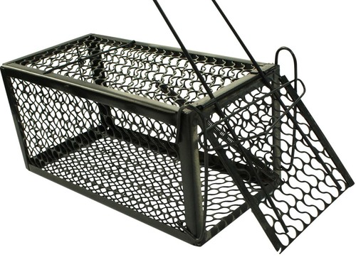 Rammento 24cm Humane Rat Trap, Black | Metal Spring Loaded Bait Box for ...