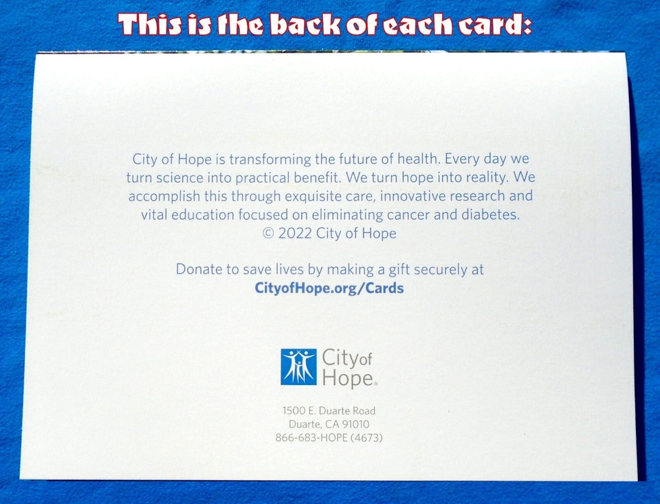 5 City of Hope Blank Cards & Envelopes 5"x7" Nature; Thank You ...