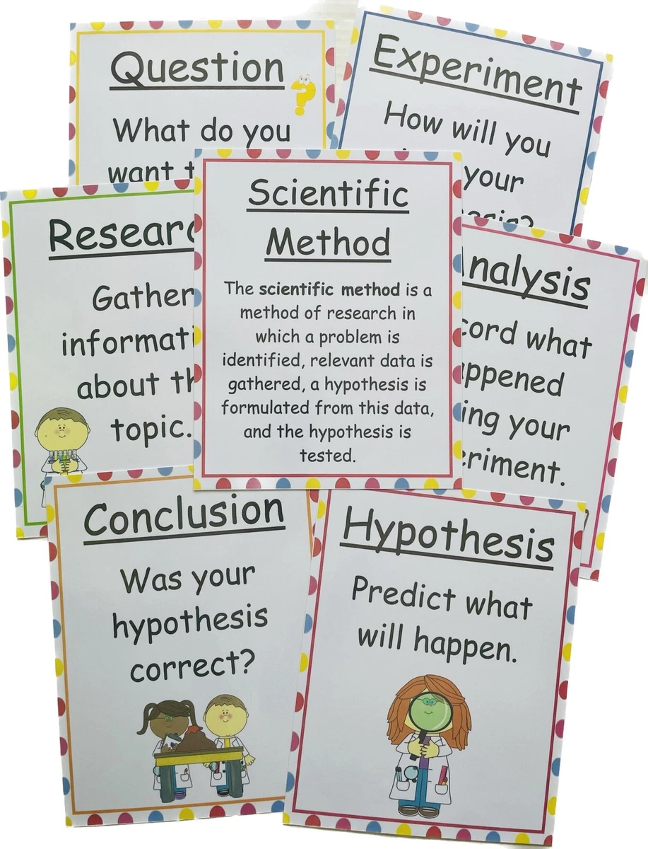 Scientific Method Bulletin Board