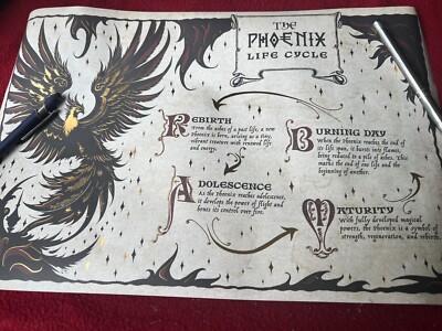 The Wizarding Trunk Harry Potter Exclusive Phoenix Life Cycle art Print ...