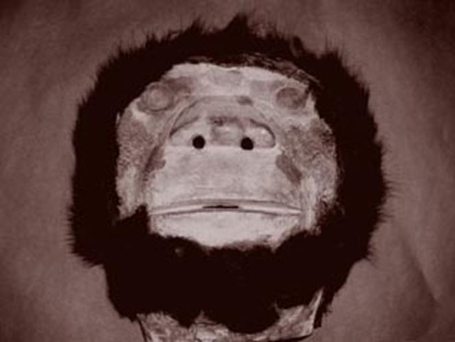 Giants, Cannibals & Monsters: Bigfoot in Native Culture by Kathy ...