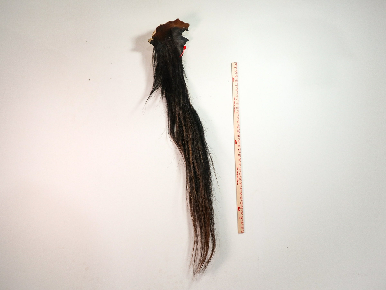 Soft Tanned Real Horse Tail (18-06T-G4378) Y1K | eBay