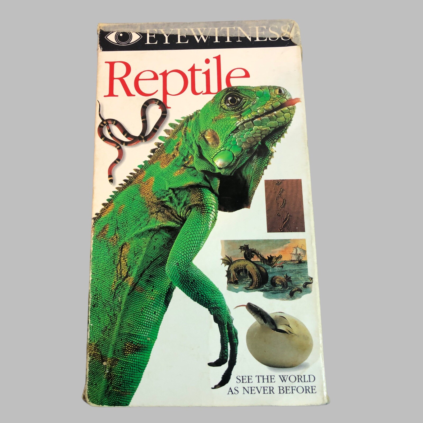 Eyewitness: Reptile (VHS) 1994 BBC Lionheart Television | eBay