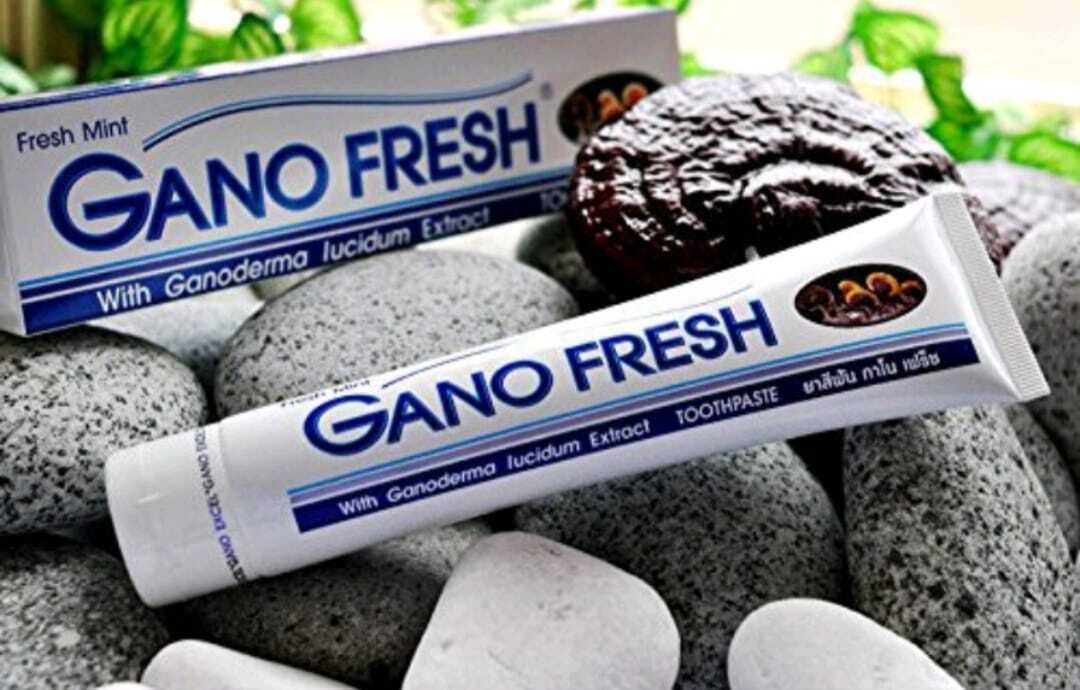 12 boxes x 150g GANO EXCEL GANO FRESH TOOTHPASTE GANODERMA - DHL ...