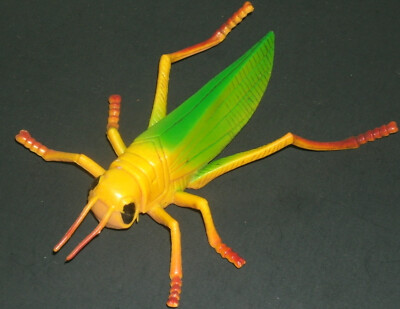 6" Plastic Red Legged Grasshopper Bug Insect Pretend Play Educational ...