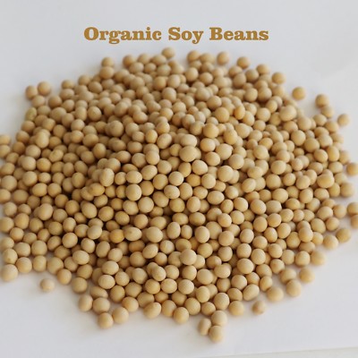 Organic Soy beans, bulk soya soybeans Non-gmo | eBay