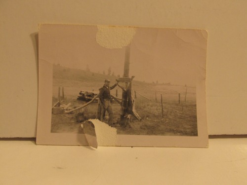 1950S VINTAGE FOUND PHOTOGRAPH OLD B&W ART PHOTO CAUGHT DEAD PUMA ...