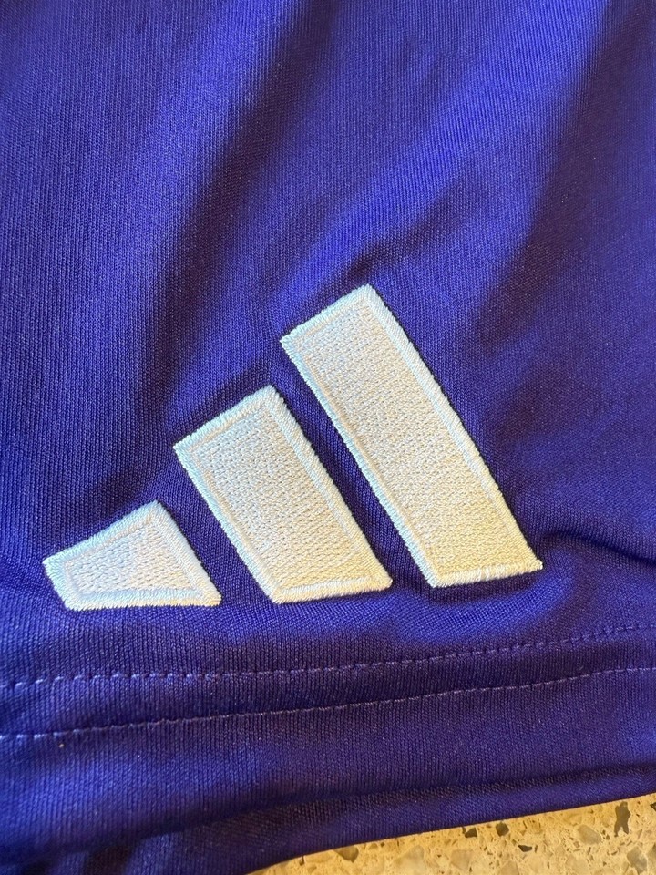 Fulham FC Adidas 24/25 Third Purple Soccer Football Shorts NWT IK2248 ...