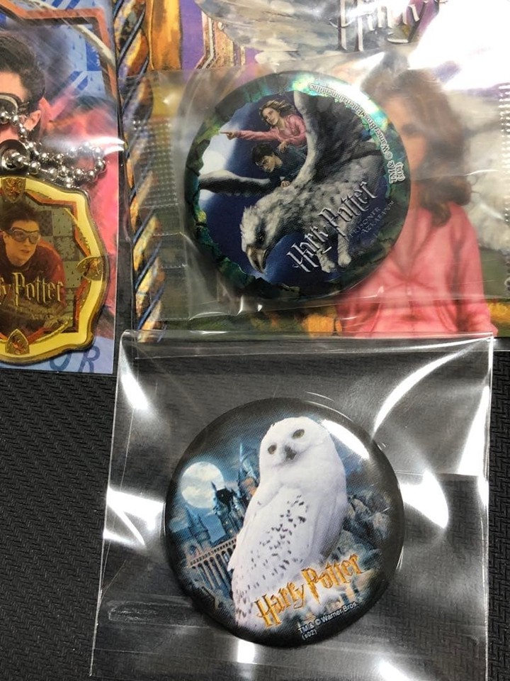 Harry Potter Harry & Hermione Bird Art Mascot 2 Set 3pcs Pre-owned | eBay