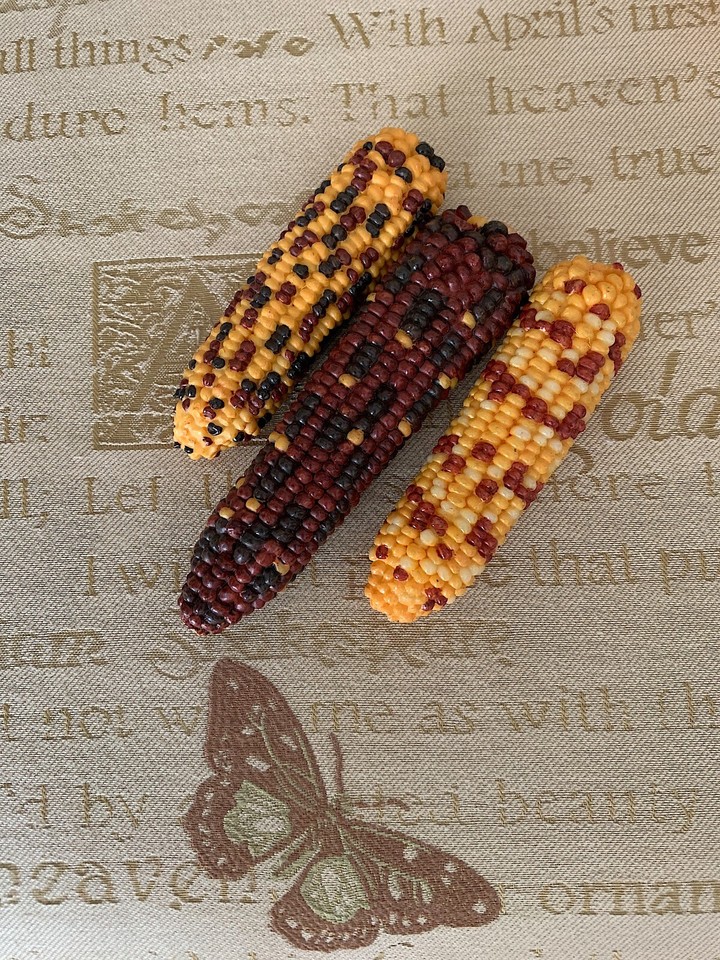 HALLOWEEN/FALL: Set/3 Heavy Resin Ears of "COLORFUL GEM CORN" for ...