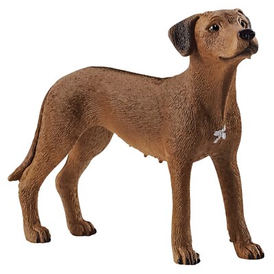 Schleich - Rhodesian Ridgeback 13895 | eBay