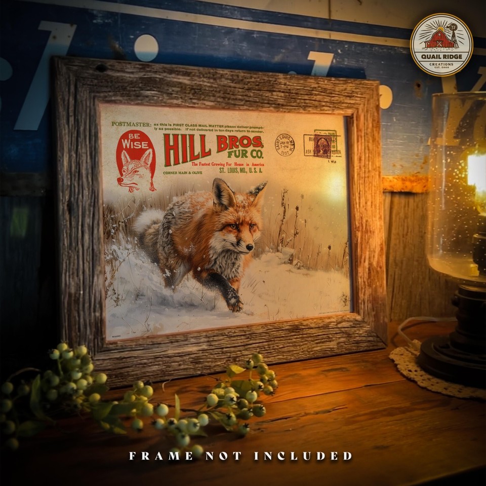 Vintage Fur Trapping Catalog Art Print Red Fox Trapping Hunting Cabin ...