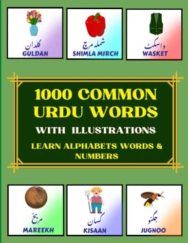 Common Phrases In Urdu