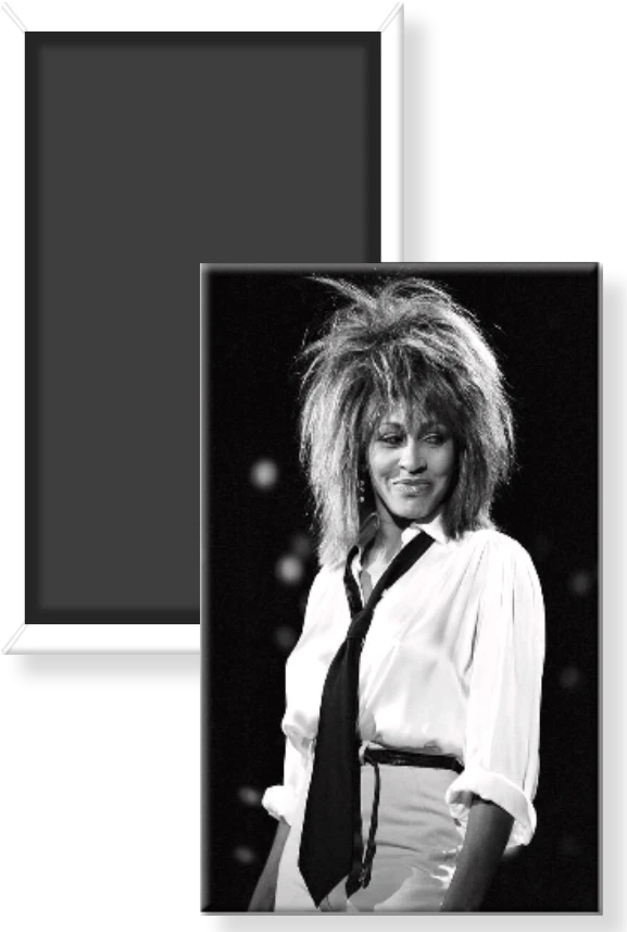 Tina Turner 90s
