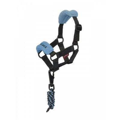 Lemieux Mini Toy Pony Accessories - Ice Blue Vogue Headcollar & Lead ...
