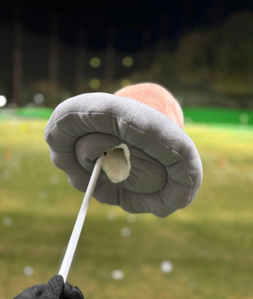 Pokemon Diglett Golf Driver Headcover Plush Cover Ships from Japan New ...