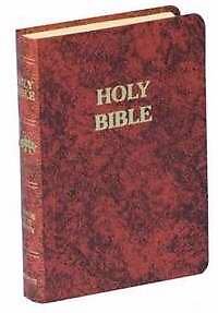 STUDY BIBLE-NABRE By Fireside Catholic **BRAND NEW** 9781556654268 | eBay
