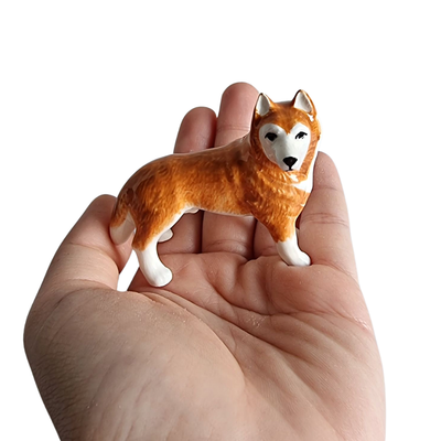 Orange Huskies Dog