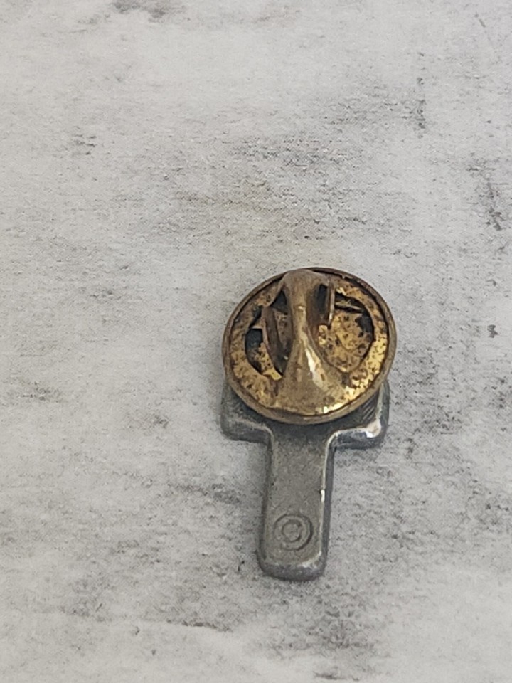 What Would Jesus Do (WWJD) Lapel Pin | eBay