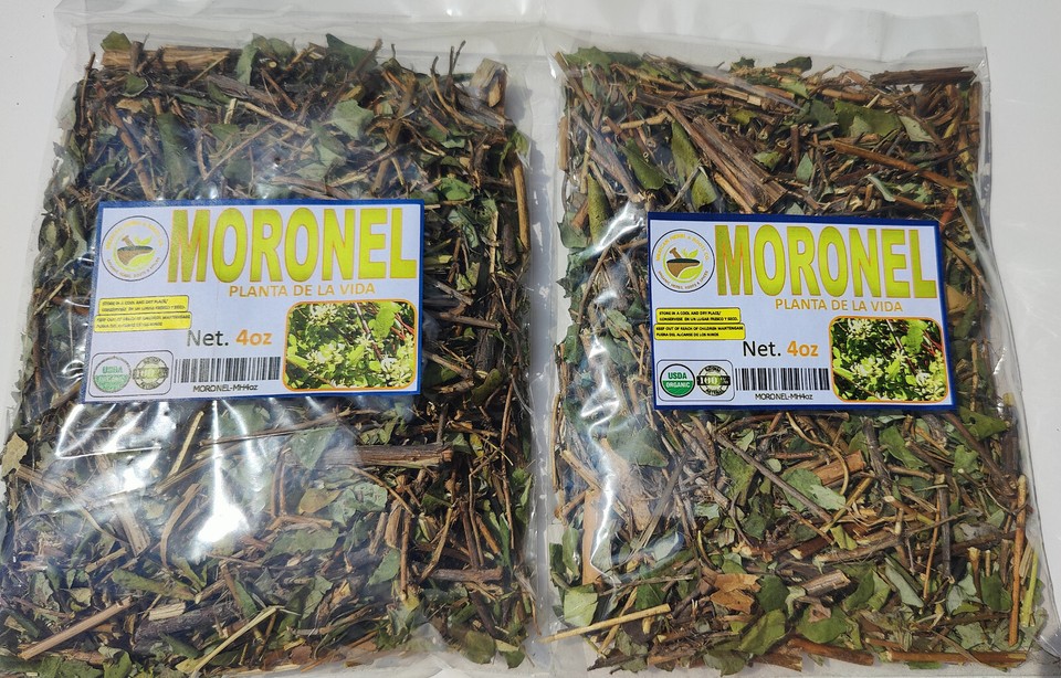 4oz Moronel organic moronel tea ramas de moronel | eBay