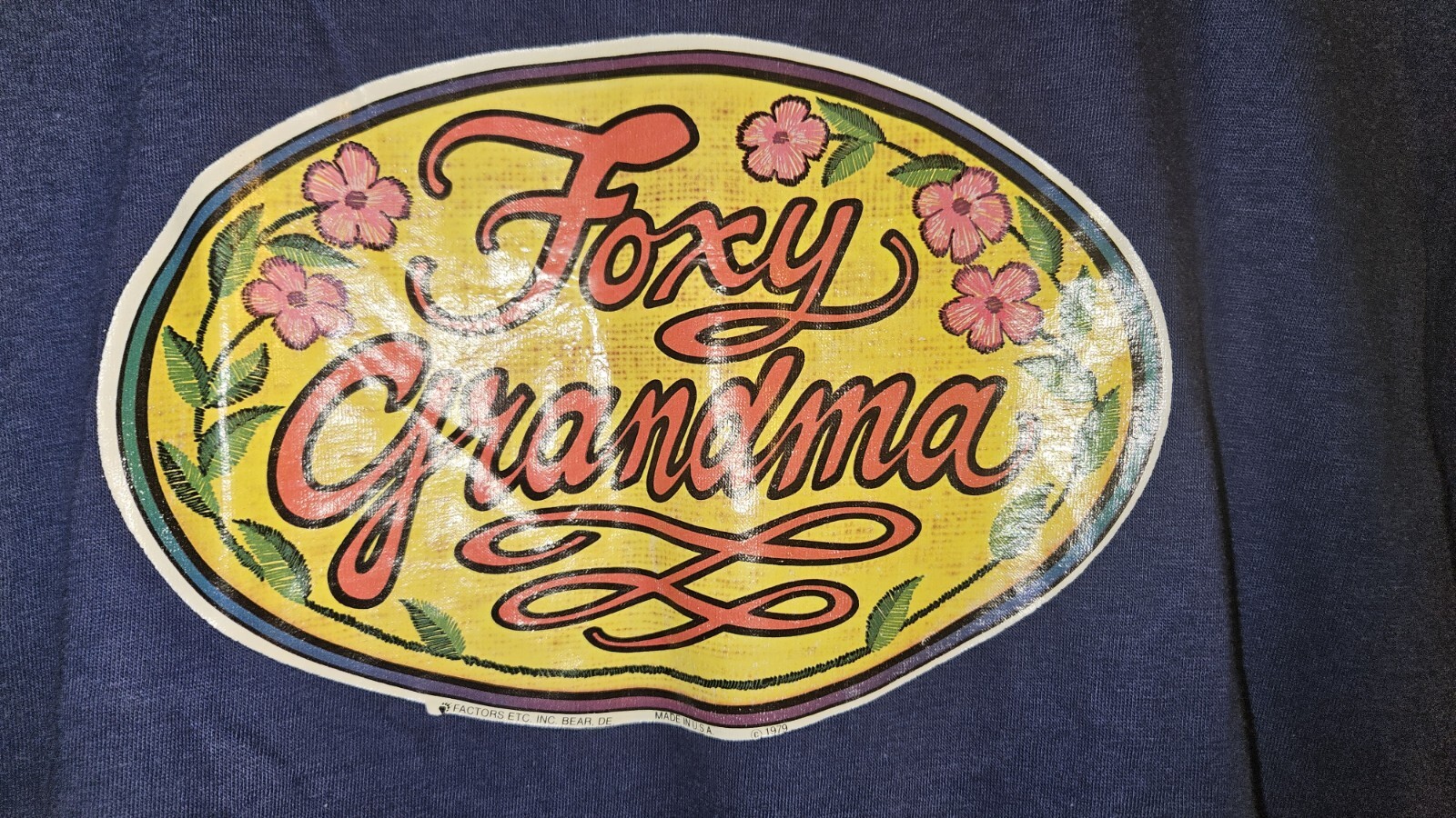 1979 Vintage Foxy Grandma Single Stitch Hanes 50/50 S… - Gem