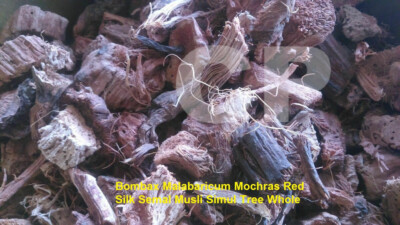 Bombax Malabaricum Mochras Red Silk Semal Musli Simul Tree Whole 500g ...