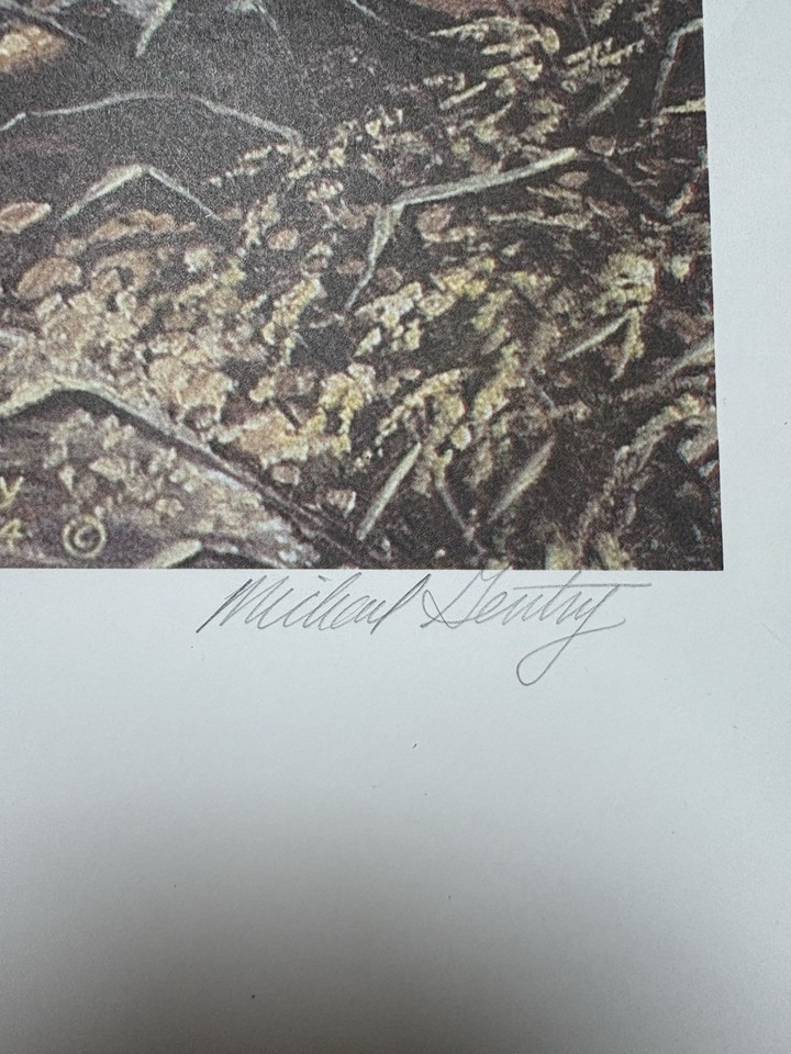 Michael Gentry Signed Artist Proof “Way Warrior" Native American Indian ...