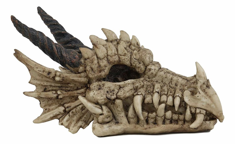 Ebros Jurassic Beowulf Elder Dragon Head Skull Realistic Fossil Statue ...