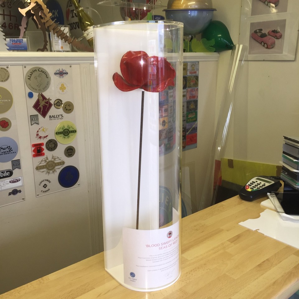 TOWER OF LONDON POPPY DISPLAY CASE ..WALLMOUNTED OR FREE STANDING WHITE ...