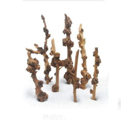 Aquarium Wood Fish Tank Terrarium Decoration TALL STICKS 7 pieces 20cm ...