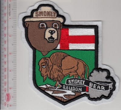 Smokey Bear Balloon over Manitoba US Forest Service USFS & NPS Patch | eBay