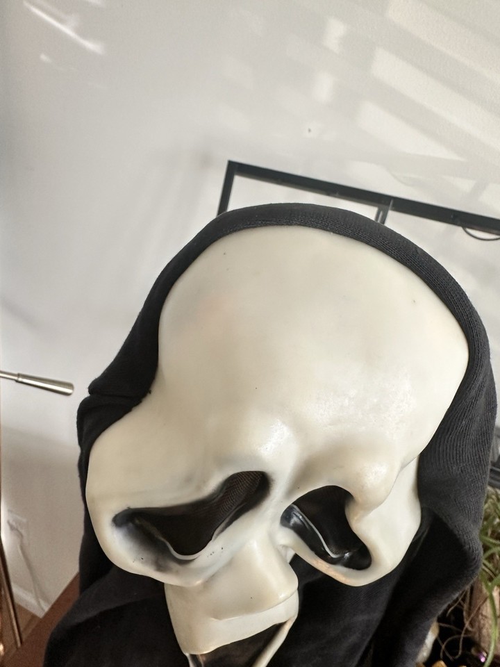 Vintage GEN1 FUN WORLD DIV GhostFace / Scream Mask Fantastic Faces Era ...