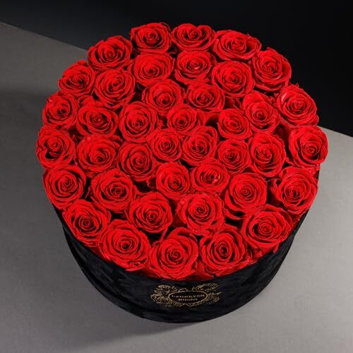 Luxury Preserved Roses in Suede Box - Flower Roses Gifts for Women, Red ...